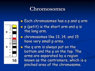 chromosomal aberration of different chromosomal disorders | PPT