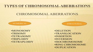 Chromosomal aberration Genetics unit 1.pptx