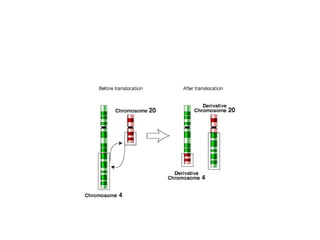 Chromosomal aberration, chromosome aberration.ppt