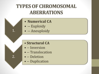 Chromosomal Aberration | PPTX | Infertility | Reproductive Health