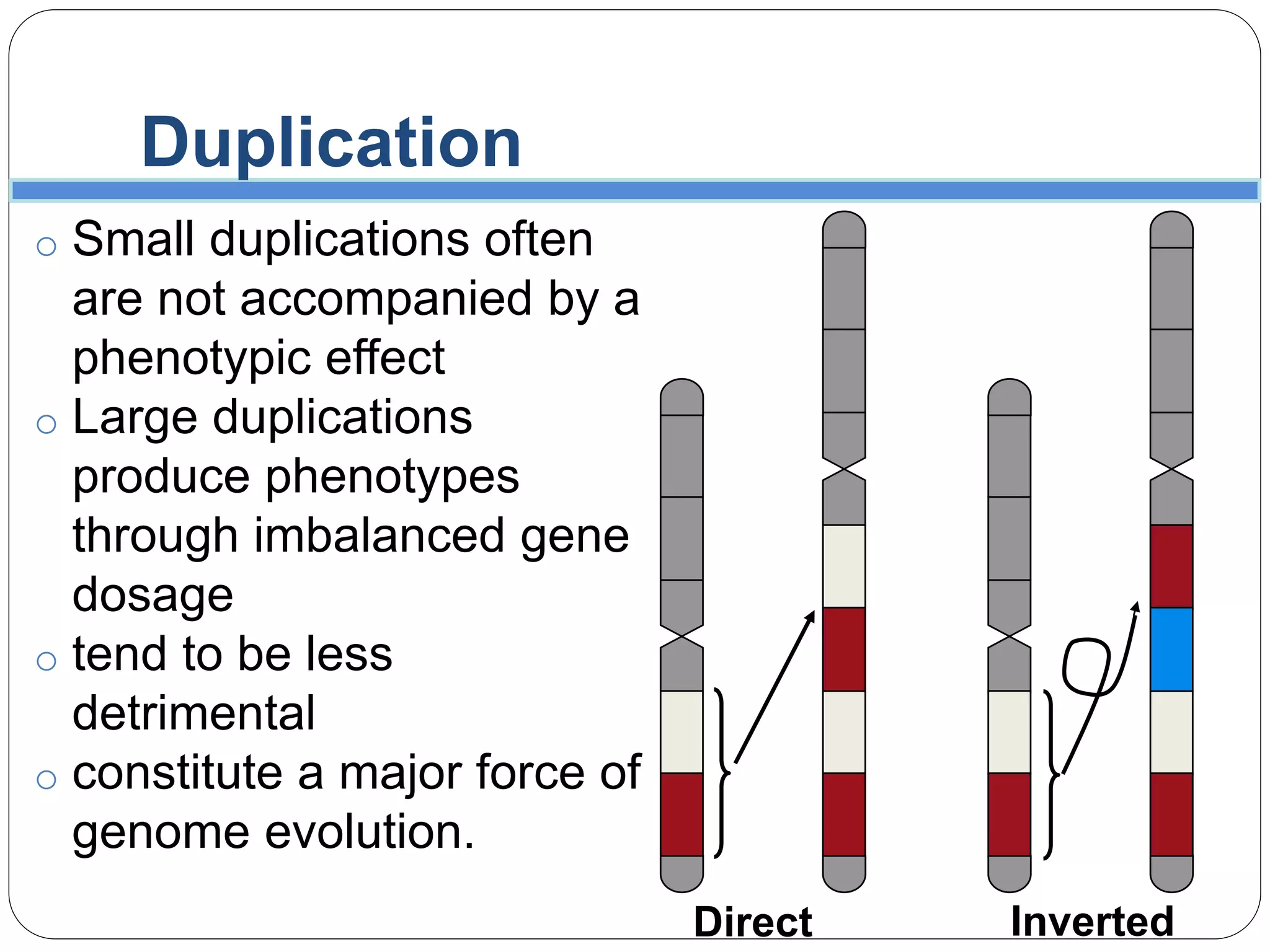 Chromosomal Aberration | PPTX