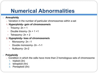 Chromosomal Aberration | PPTX