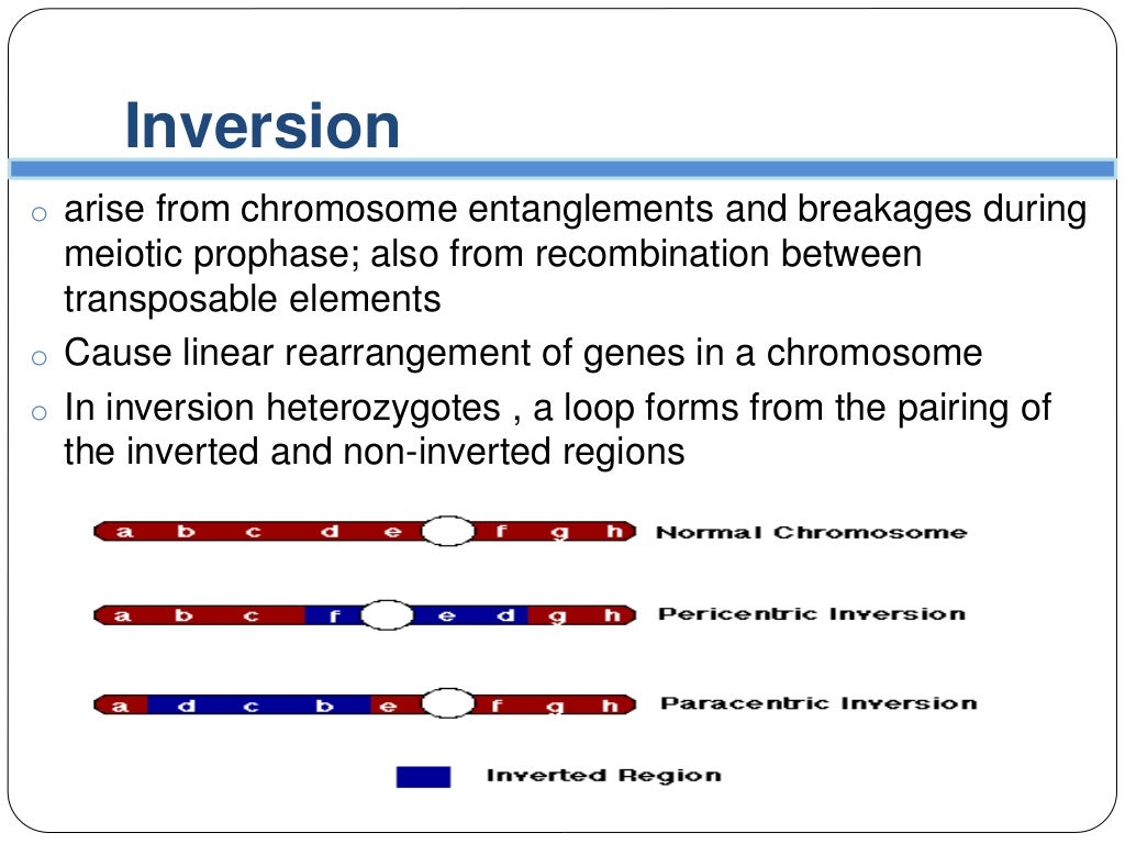 chromosomal-aberration