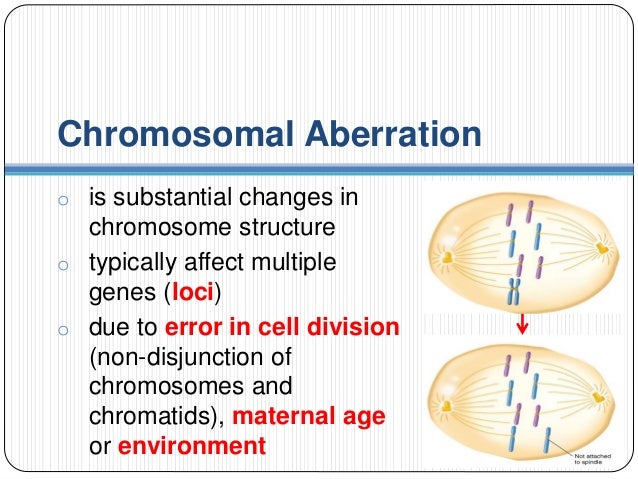 Chromosomal Aberration