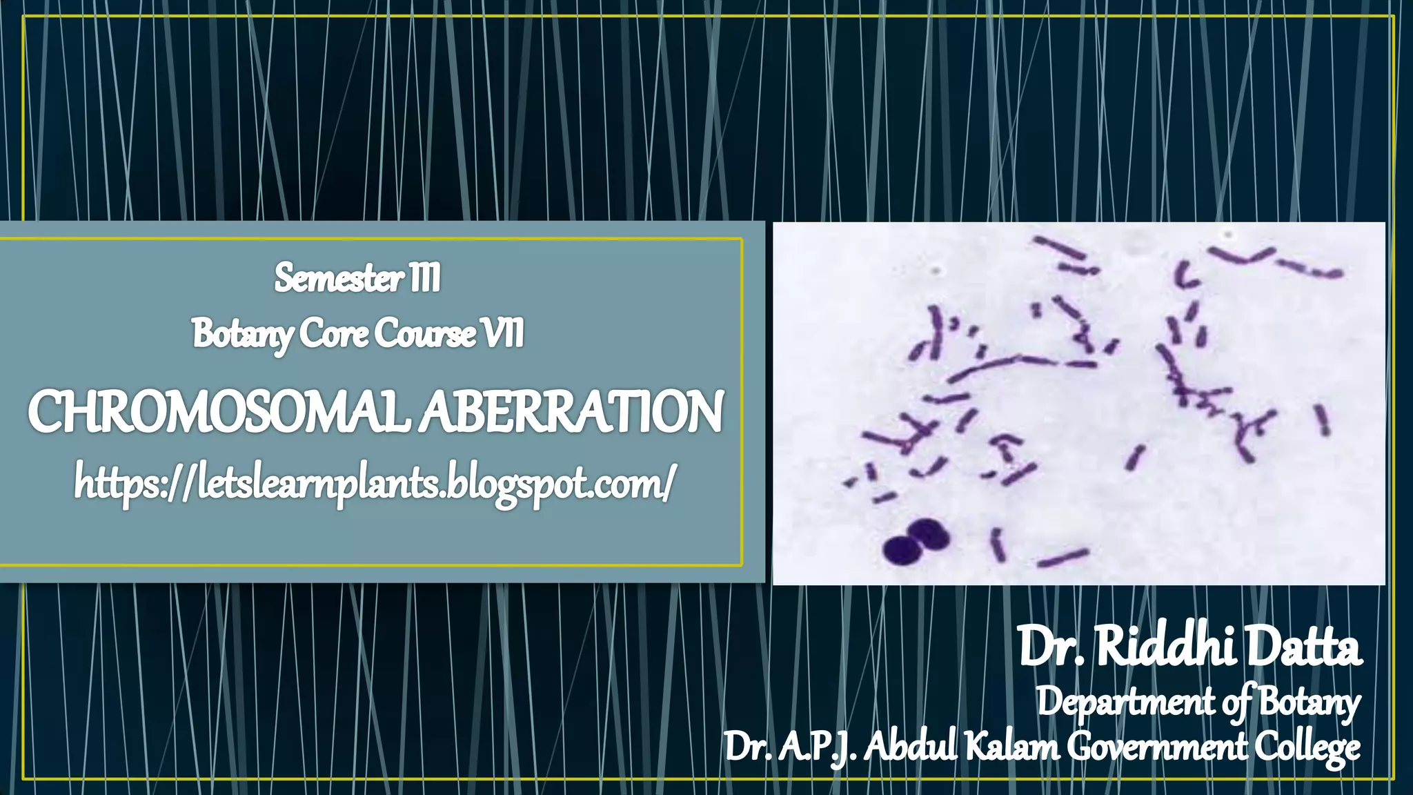 Introduction to Chromosomal Aberration | PDF