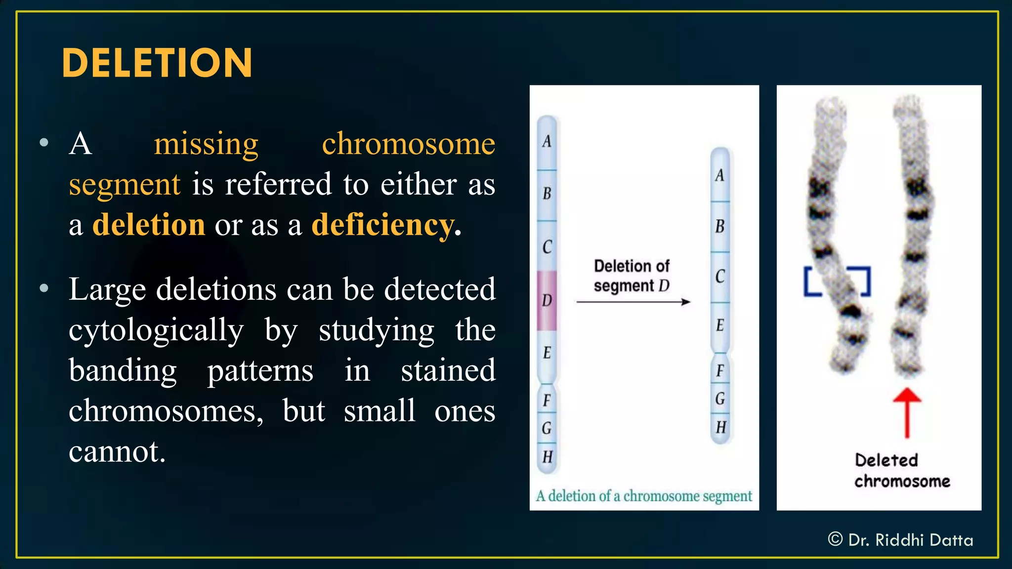 Introduction to Chromosomal Aberration | PDF
