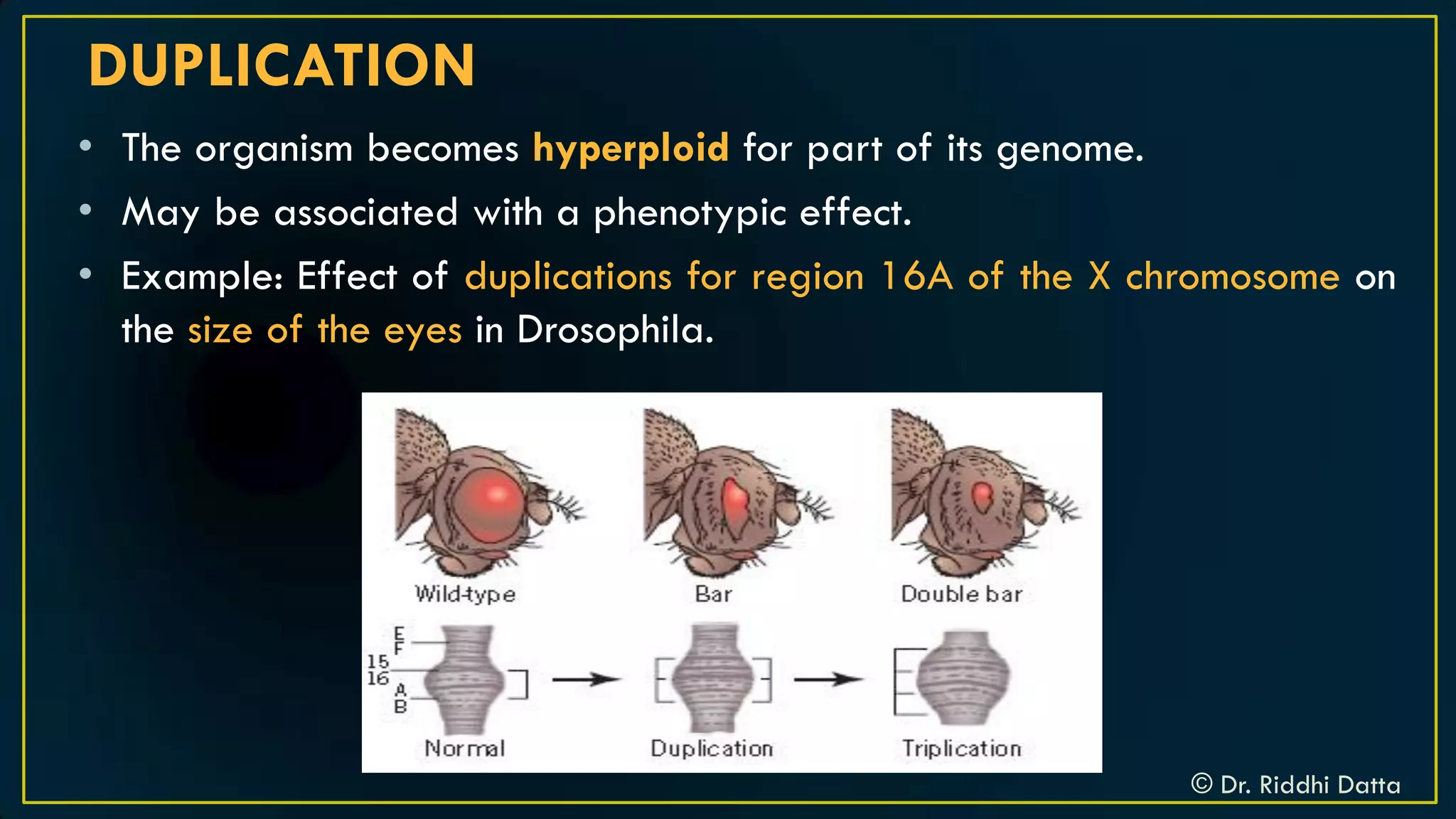 Introduction to Chromosomal Aberration | PDF