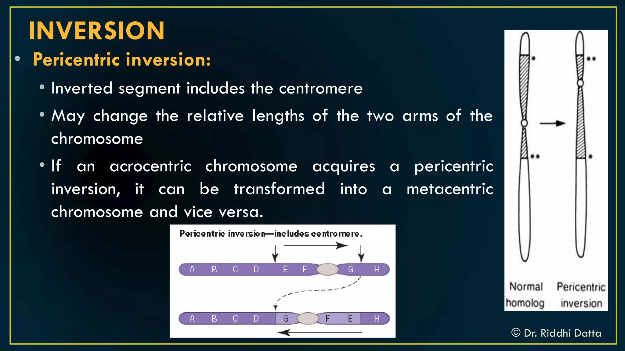 Introduction to Chromosomal Aberration | PDF