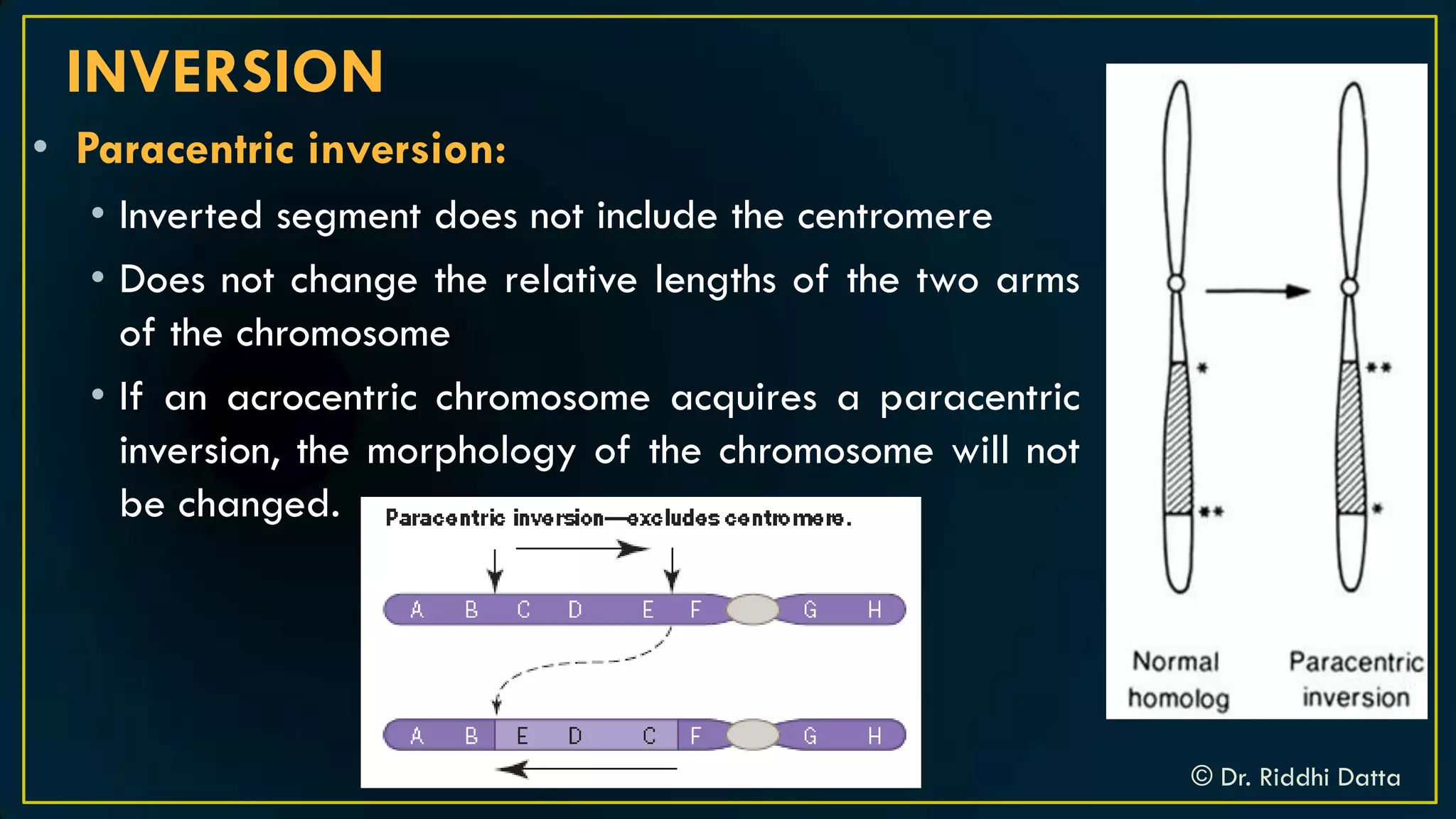 Introduction to Chromosomal Aberration | PDF