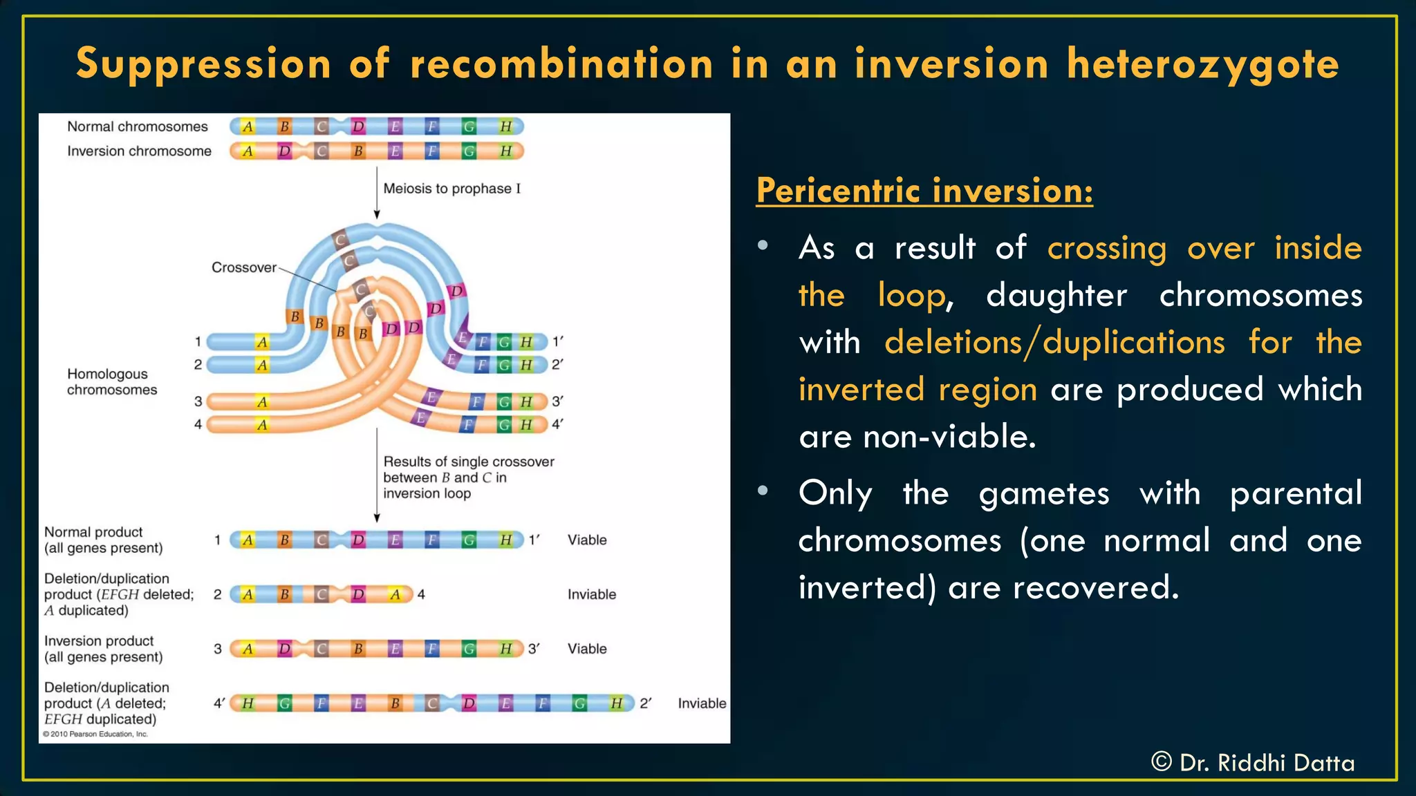 Introduction to Chromosomal Aberration | PDF