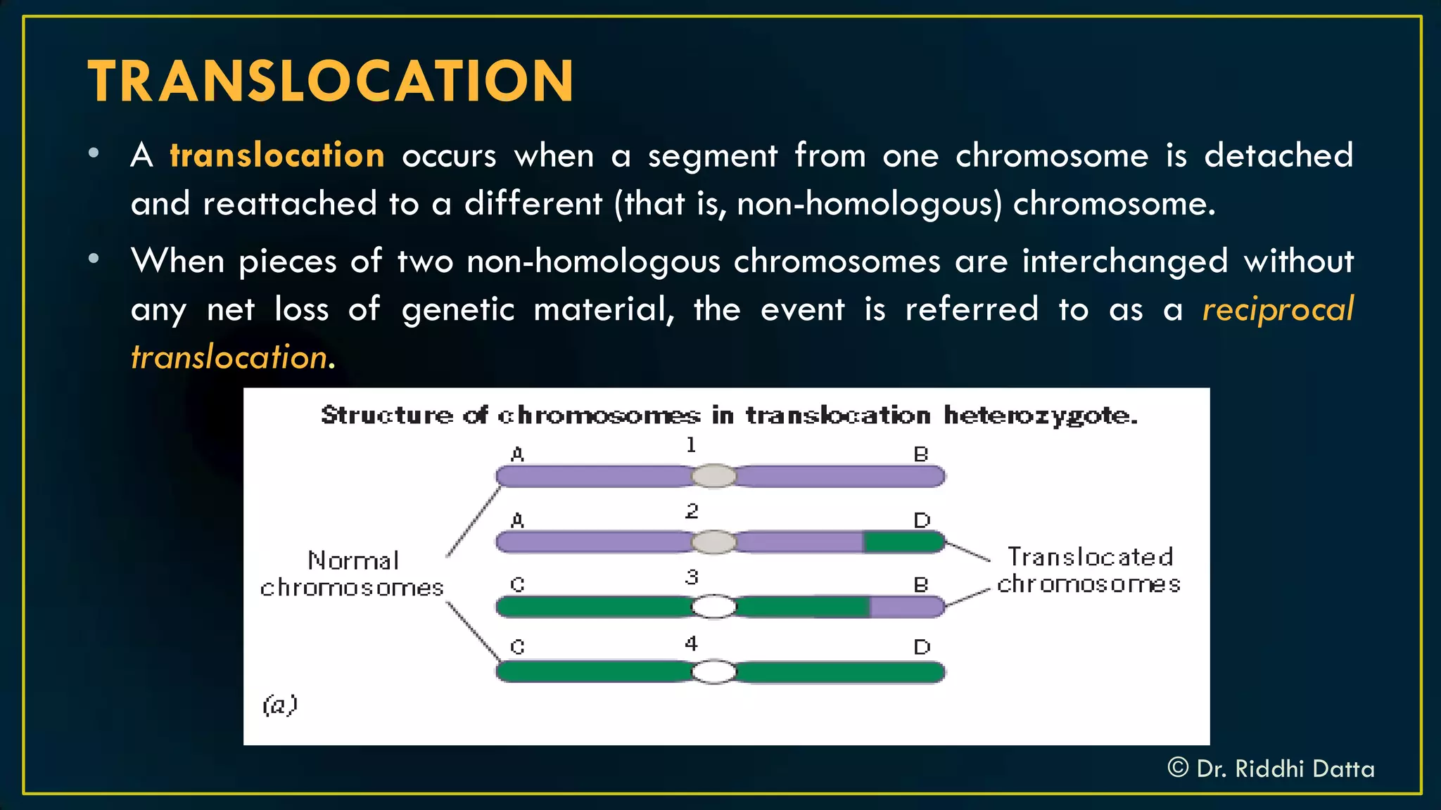 Introduction to Chromosomal Aberration | PDF