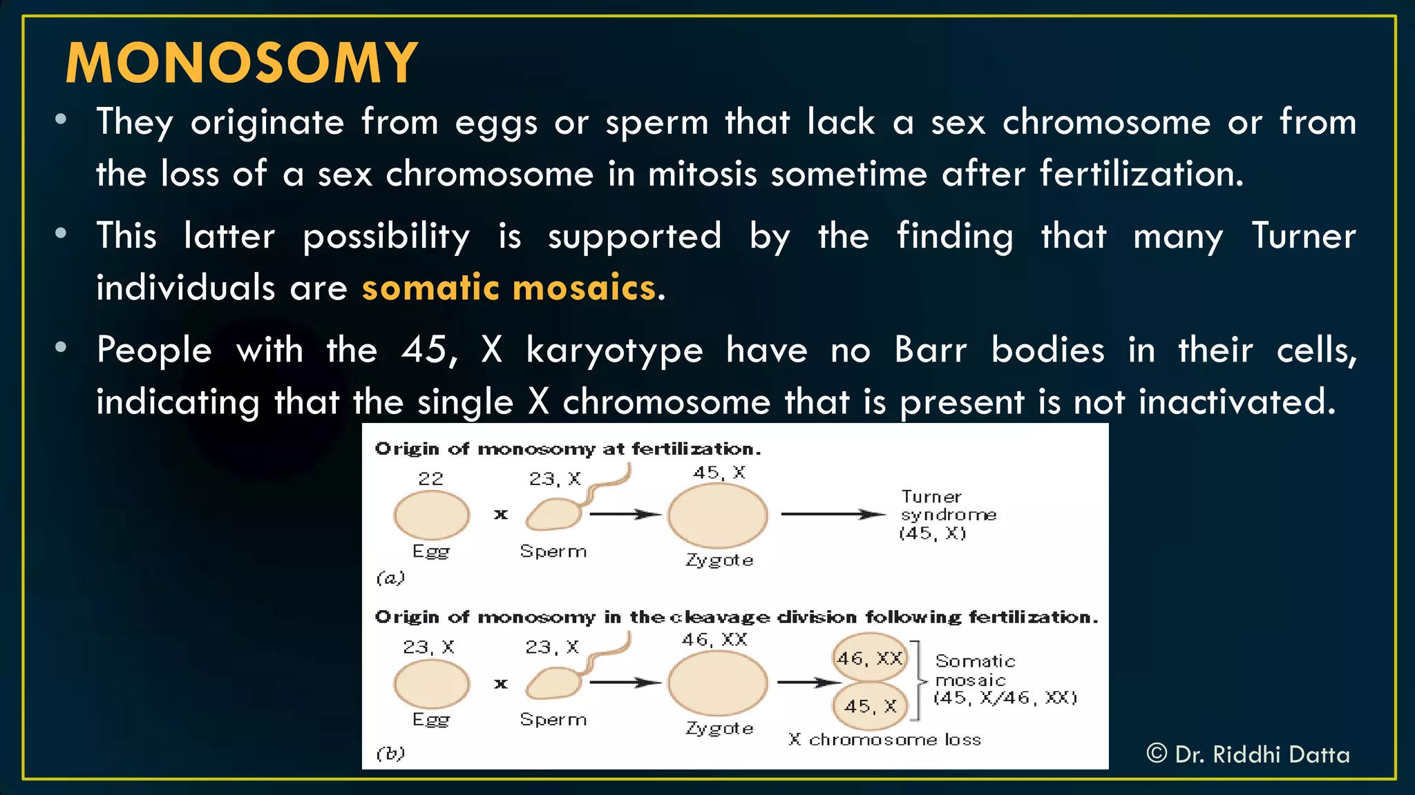 Introduction to Chromosomal Aberration | PDF