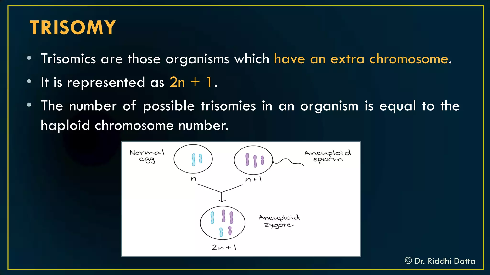 Introduction to Chromosomal Aberration | PDF