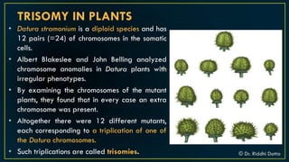 Introduction to Chromosomal Aberration | PDF