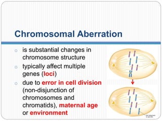 chromosomal aberration (both numerical and structural) | PDF
