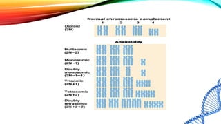 Chromosomal Aberration (Mutation) and Classification. | PPTX