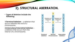 Chromosomal Aberration (Mutation) and Classification. | PPTX