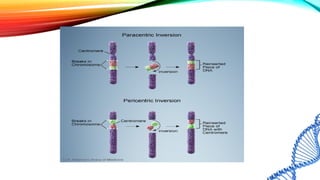 Chromosomal Aberration (Mutation) and Classification. | PPTX