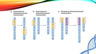 Chromosomal Aberration (Mutation) and Classification. | PPTX