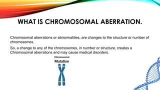 Chromosomal Aberration (Mutation) and Classification. | PPTX