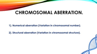 Chromosomal Aberration (Mutation) and Classification. | PPTX