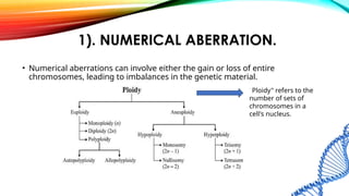 Chromosomal Aberration (Mutation) and Classification. | PPTX