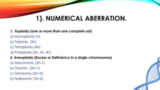 Chromosomal Aberration (Mutation) and Classification. | PPTX