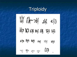Chromosomal Aberrations | PPT | Genetics | Science