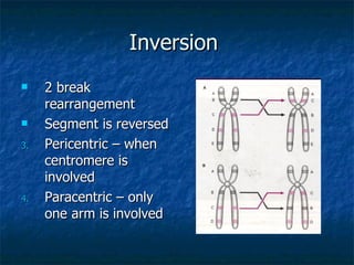 Chromosomal Aberrations | PPT