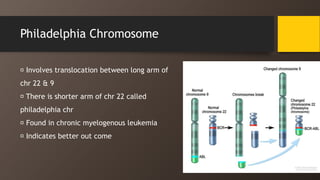 Chromosomal aberrations | PPT