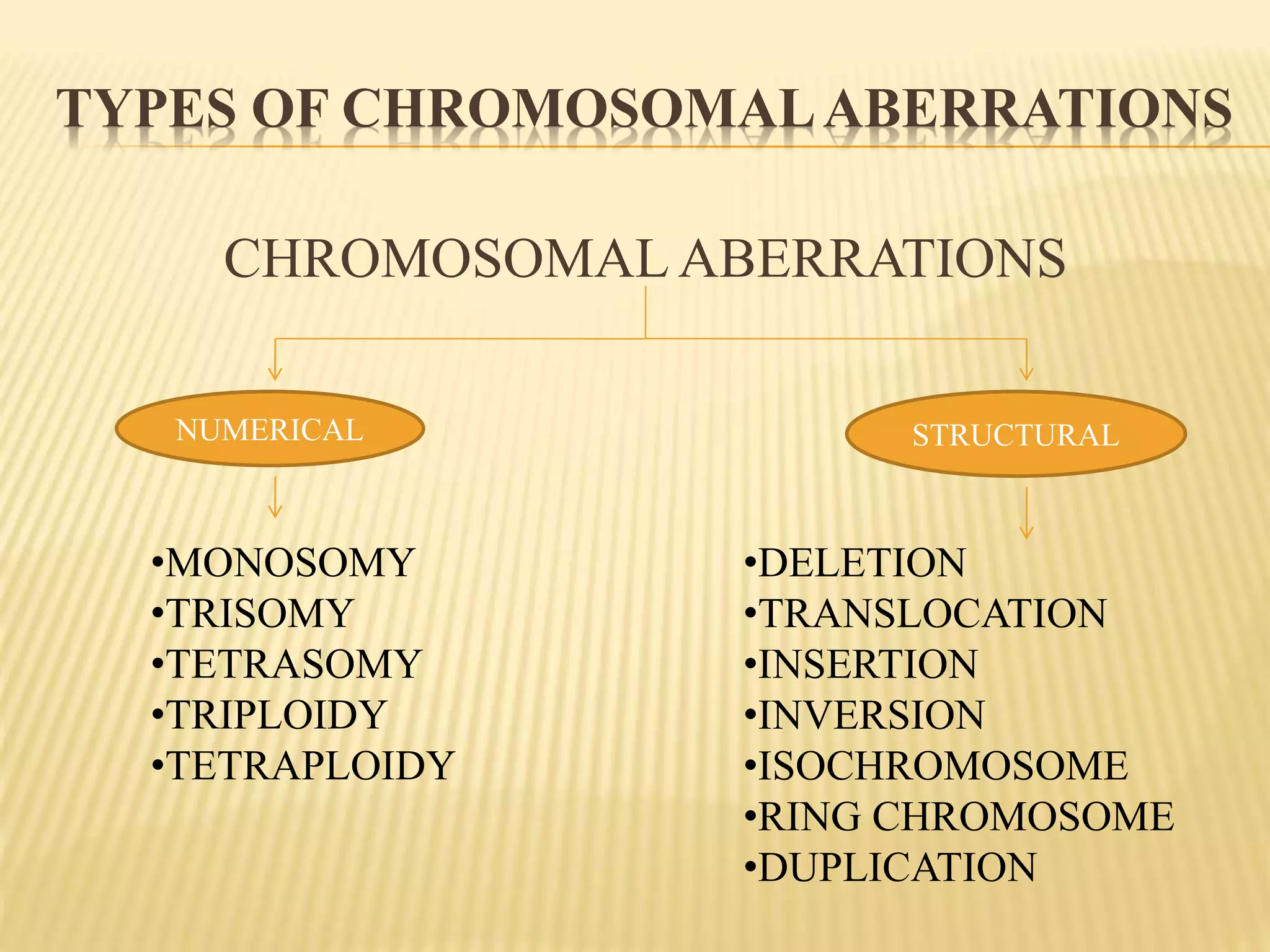 Chromosomal aberrations | PPTX