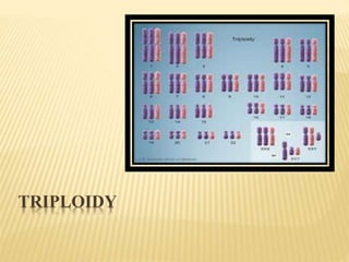 Chromosomal aberrations | PPTX