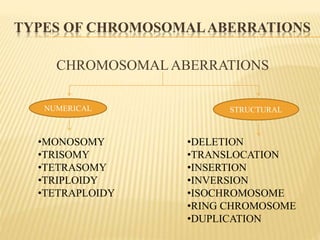 Chromosomal aberrations | PPTX