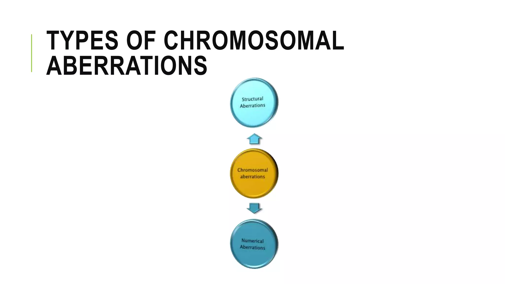 Structural Chromosomal aberrations (Change in Structure of Chromosome) | PPTX