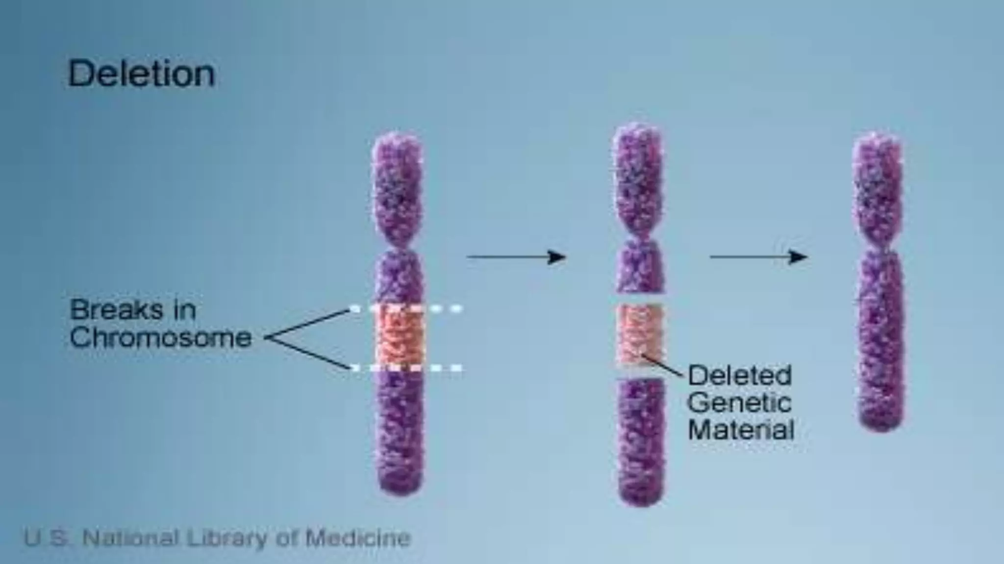 Structural Chromosomal aberrations (Change in Structure of Chromosome ...