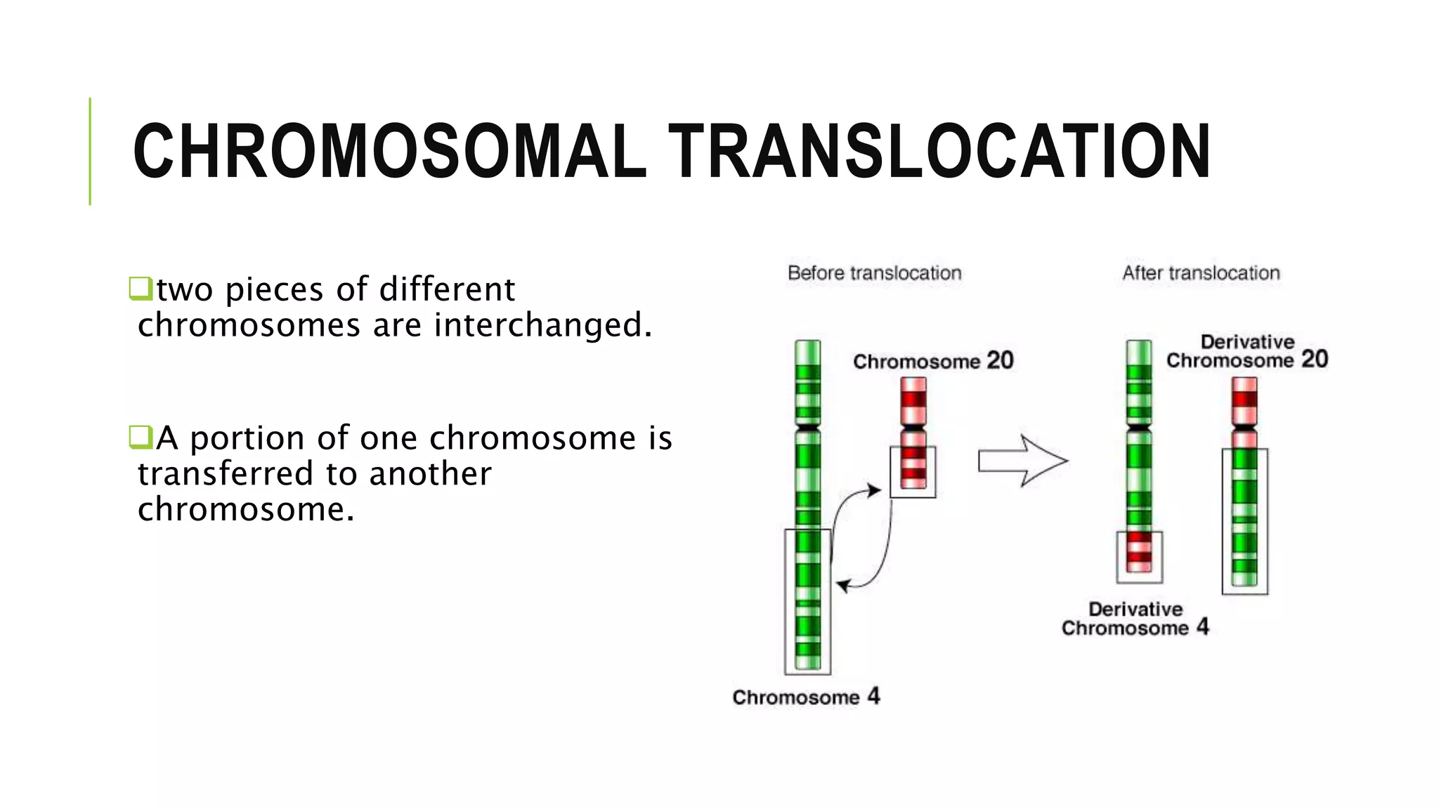 Structural Chromosomal aberrations (Change in Structure of Chromosome ...