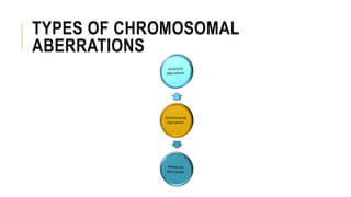 Structural Chromosomal aberrations (Change in Structure of Chromosome ...