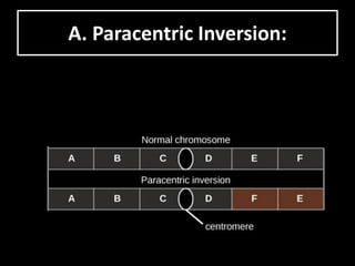 Chromosomal aberrations | PPTX