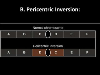 Chromosomal aberrations | PPTX