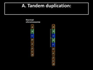 Chromosomal aberrations | PPTX