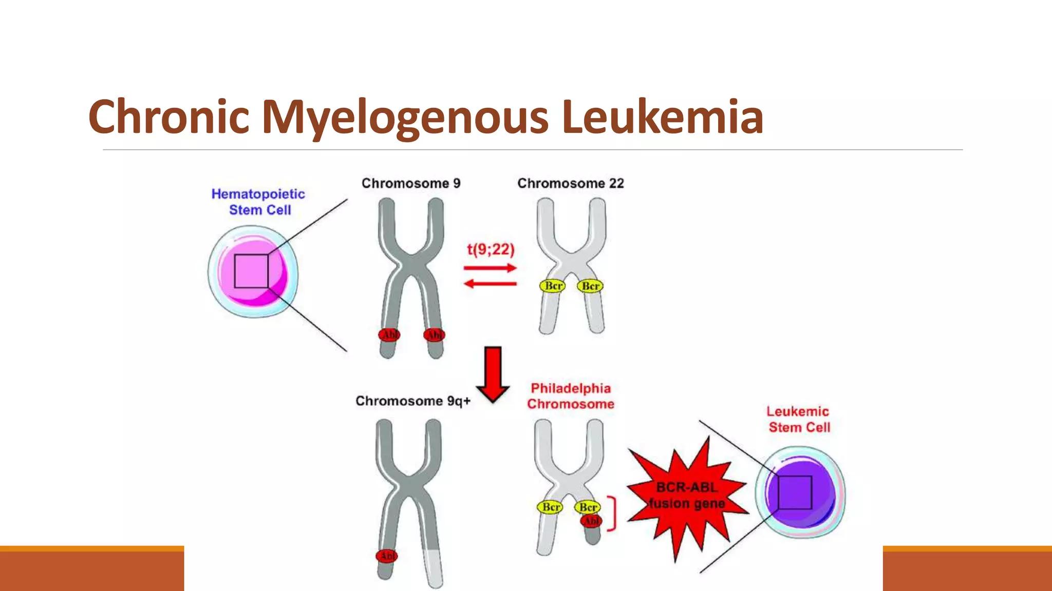Structural Chromosomal Aberrations Ppt