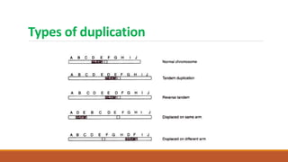 Structural Chromosomal Aberrations | PPT