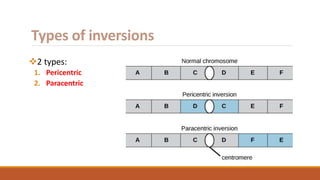 Structural Chromosomal Aberrations | PPT