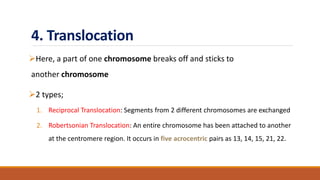 Structural Chromosomal Aberrations | PPT