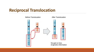 Structural Chromosomal Aberrations | PPT