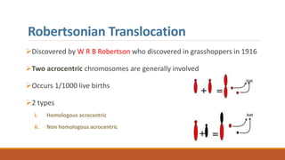 Structural Chromosomal Aberrations | PPT