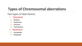 Structural Chromosomal Aberrations | PPTX