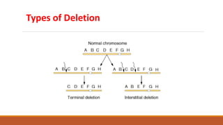 Structural Chromosomal Aberrations | PPT