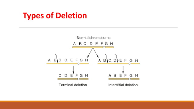 Structural Chromosomal Aberrations | PPT