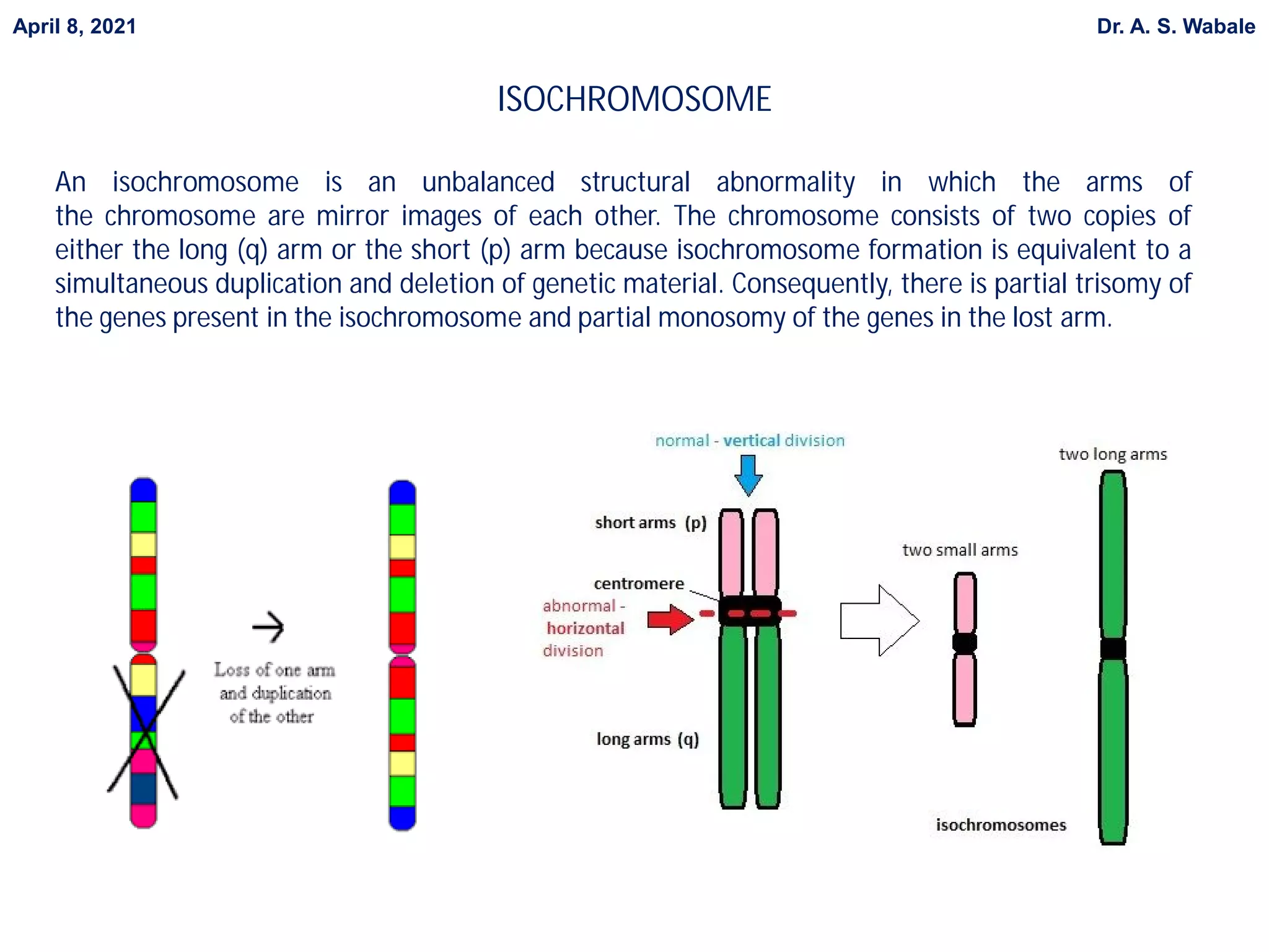 Chromosomal aberrations | PDF